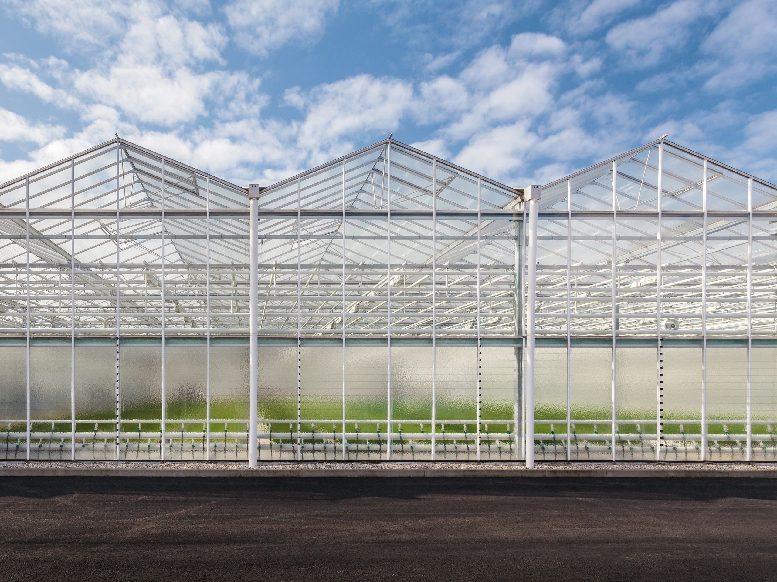New Century Glasshouses Ltd - Glasshouses, Venlo, Construction ...