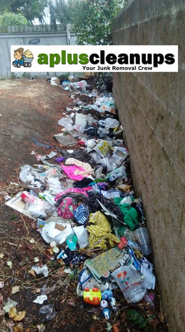 PHOTO GALLERY | A+ Clean Ups