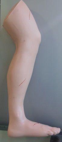 GD/LV2 ADVANCED SURGICAL SUTURING LEG