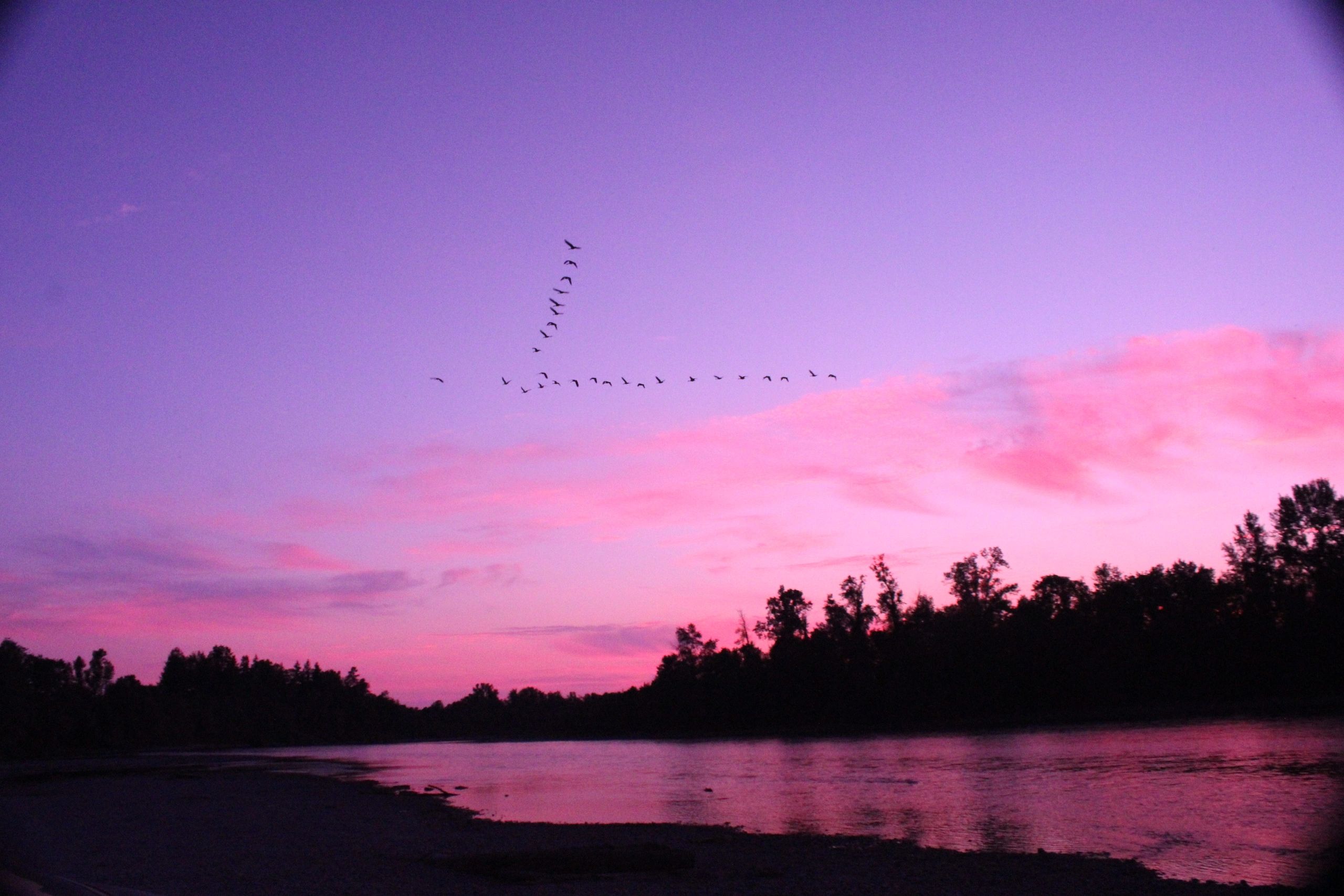 Trippy Photography - Amanda Suzan Welch