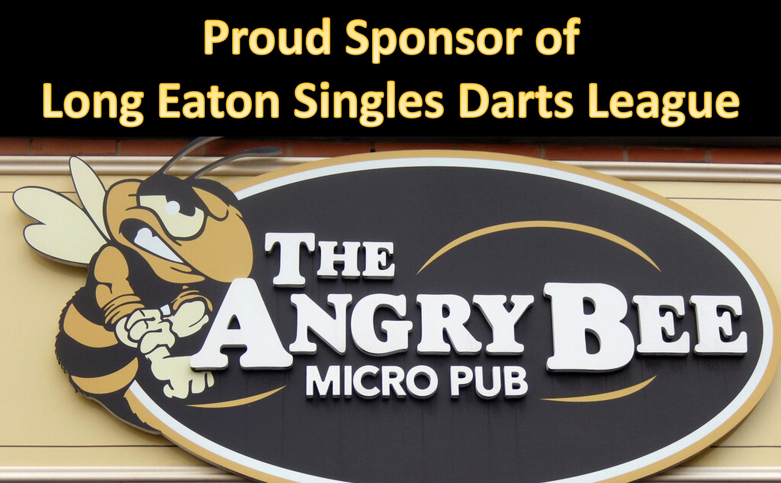 Long Eaton Darts