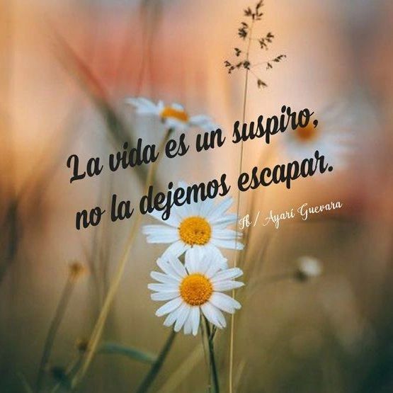 La vida es un suspiro Cuentacuentos
