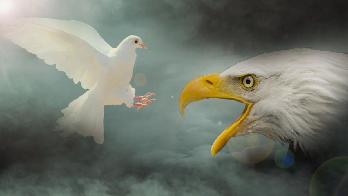 Bald Eagle & the Doves: Faith and Wisdom