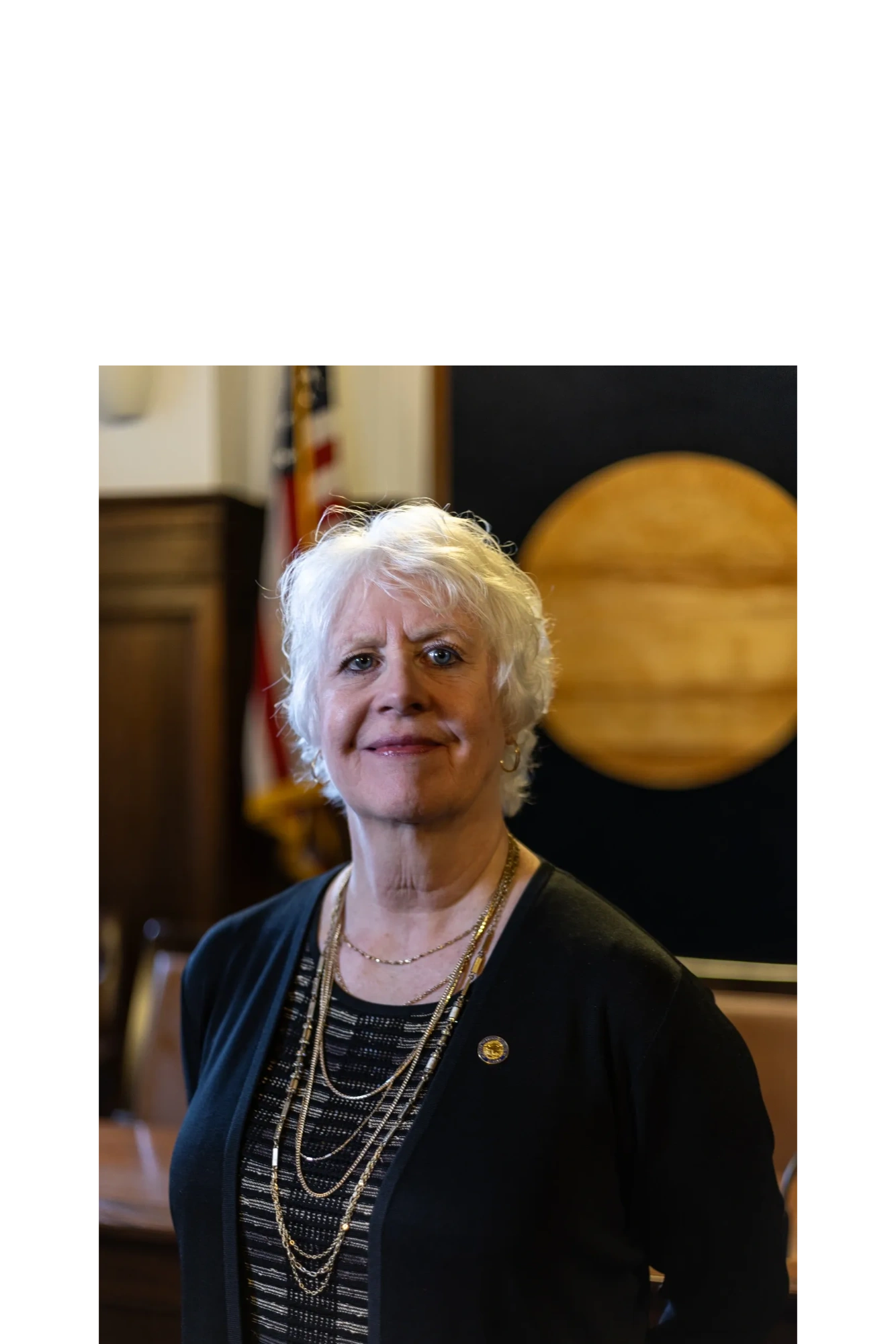 LOUISE STUTES FOR STATE HOUSE