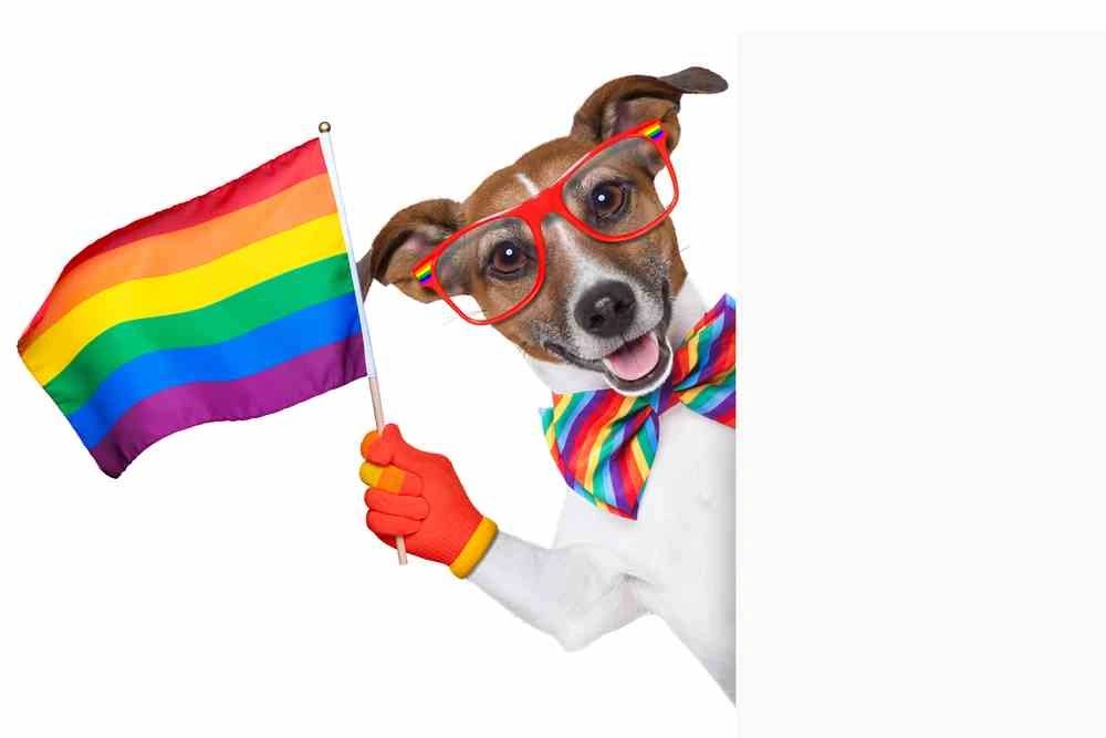 I m Coming Out I m Coming Out