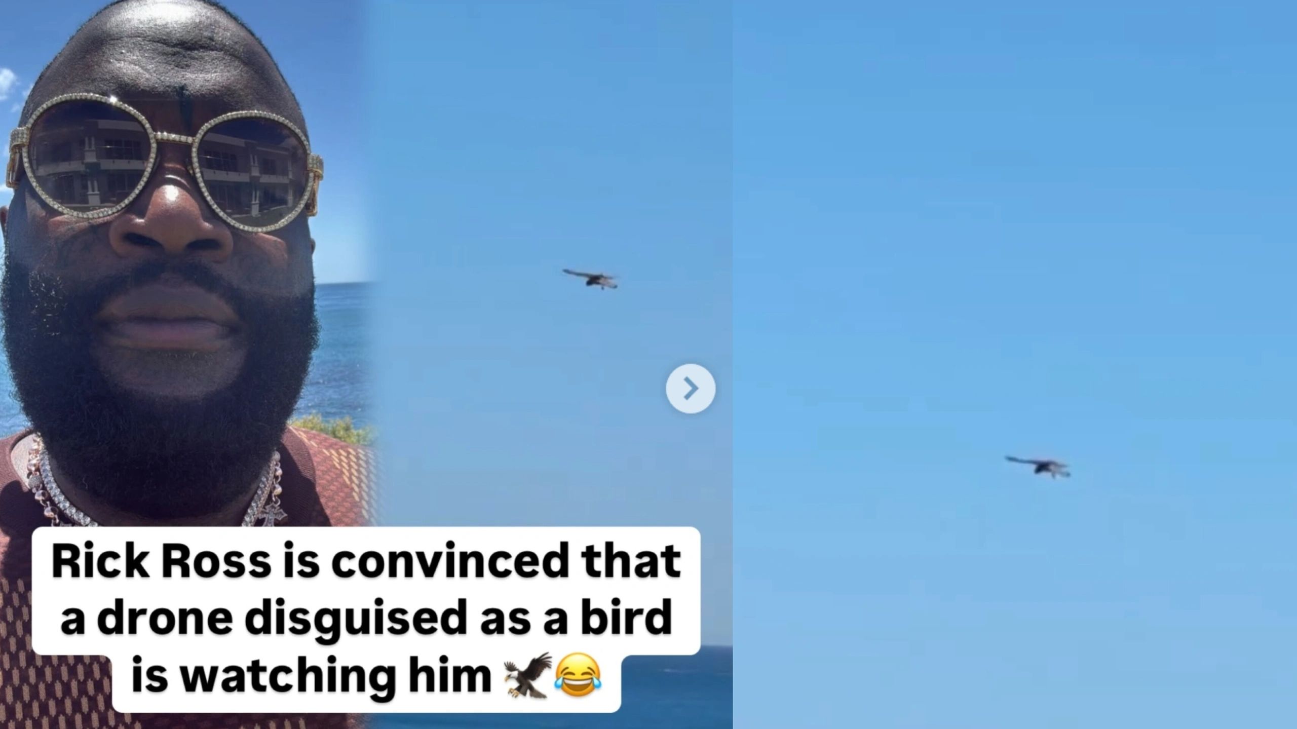 Rick Ross says a bird is spying on him in South Africa.