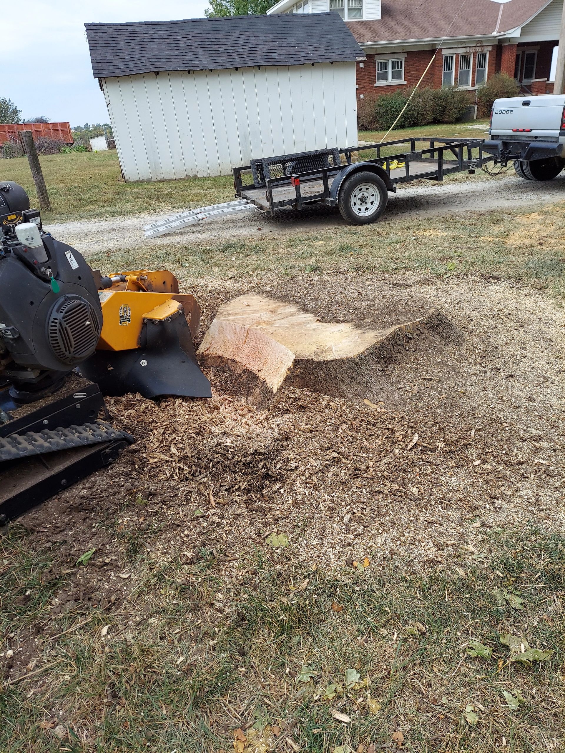 Gallery | Stump Man Llc