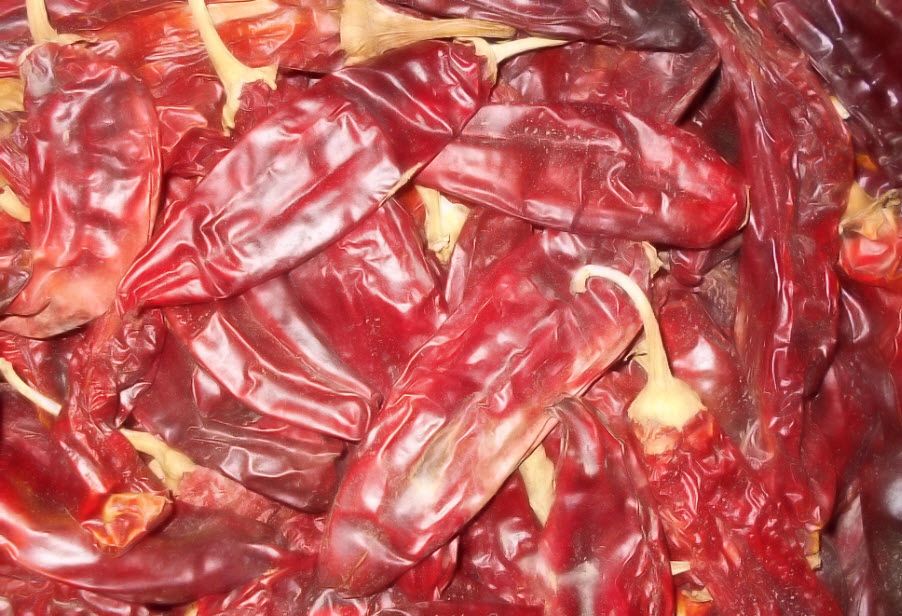 Medium Red Chile Pods