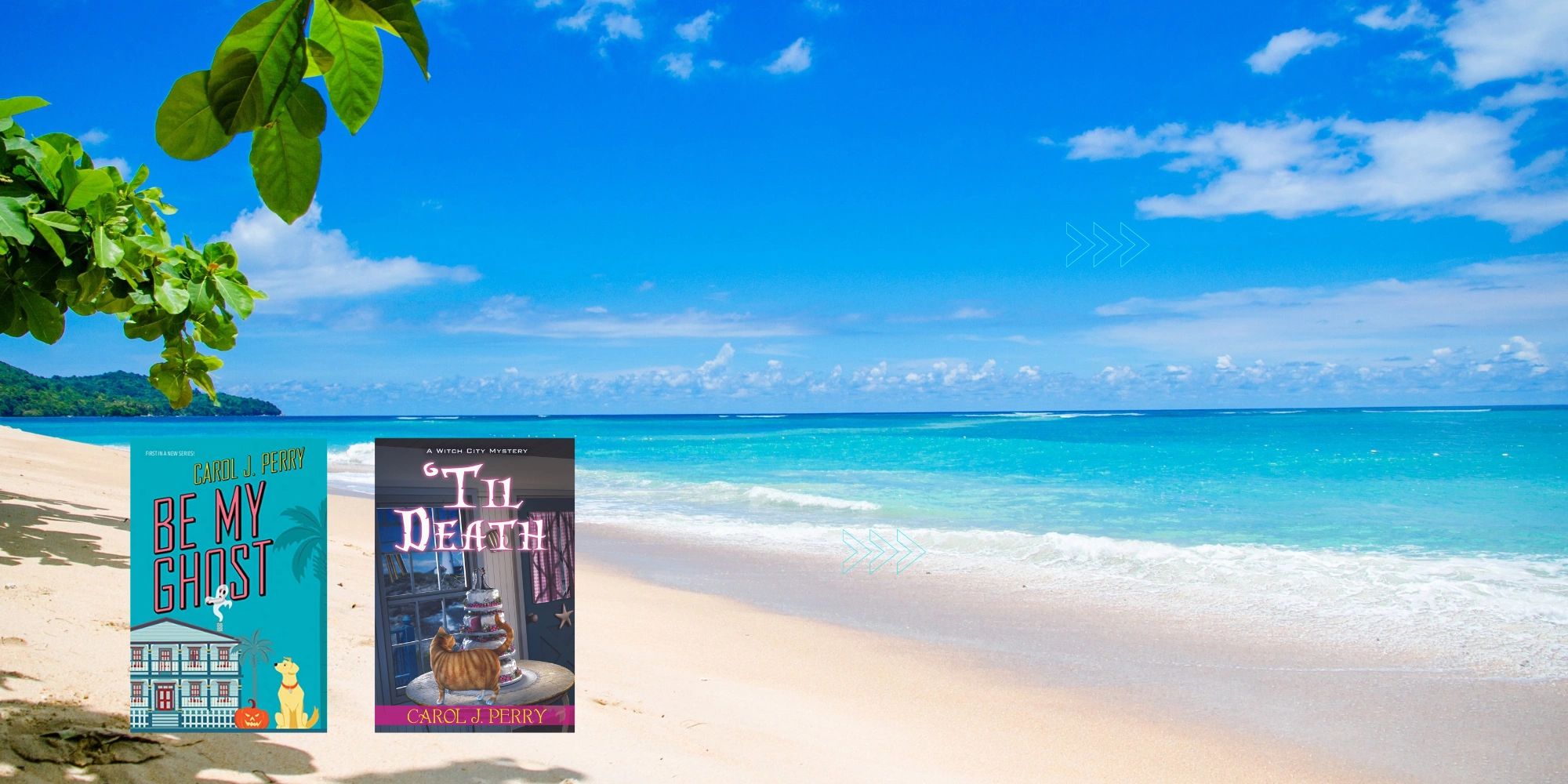 Carol J Perry - Cozy Mystery, Books, Writer