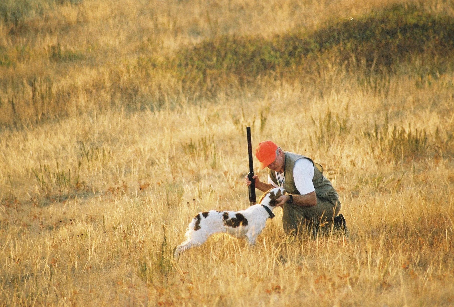 Premier Upland Hunting Experience