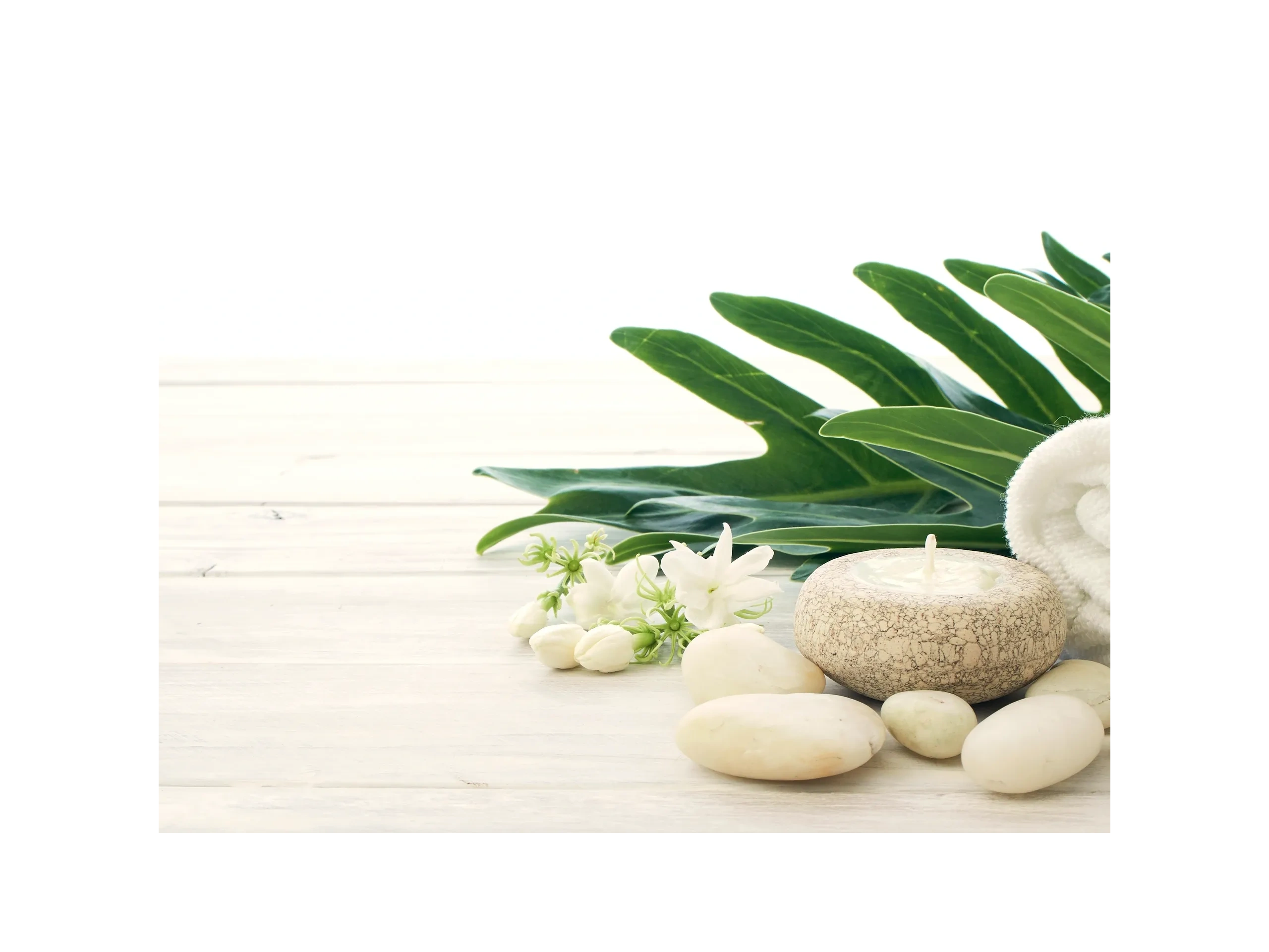 So Snatched! - Beauty Begins, Our Clients, Join