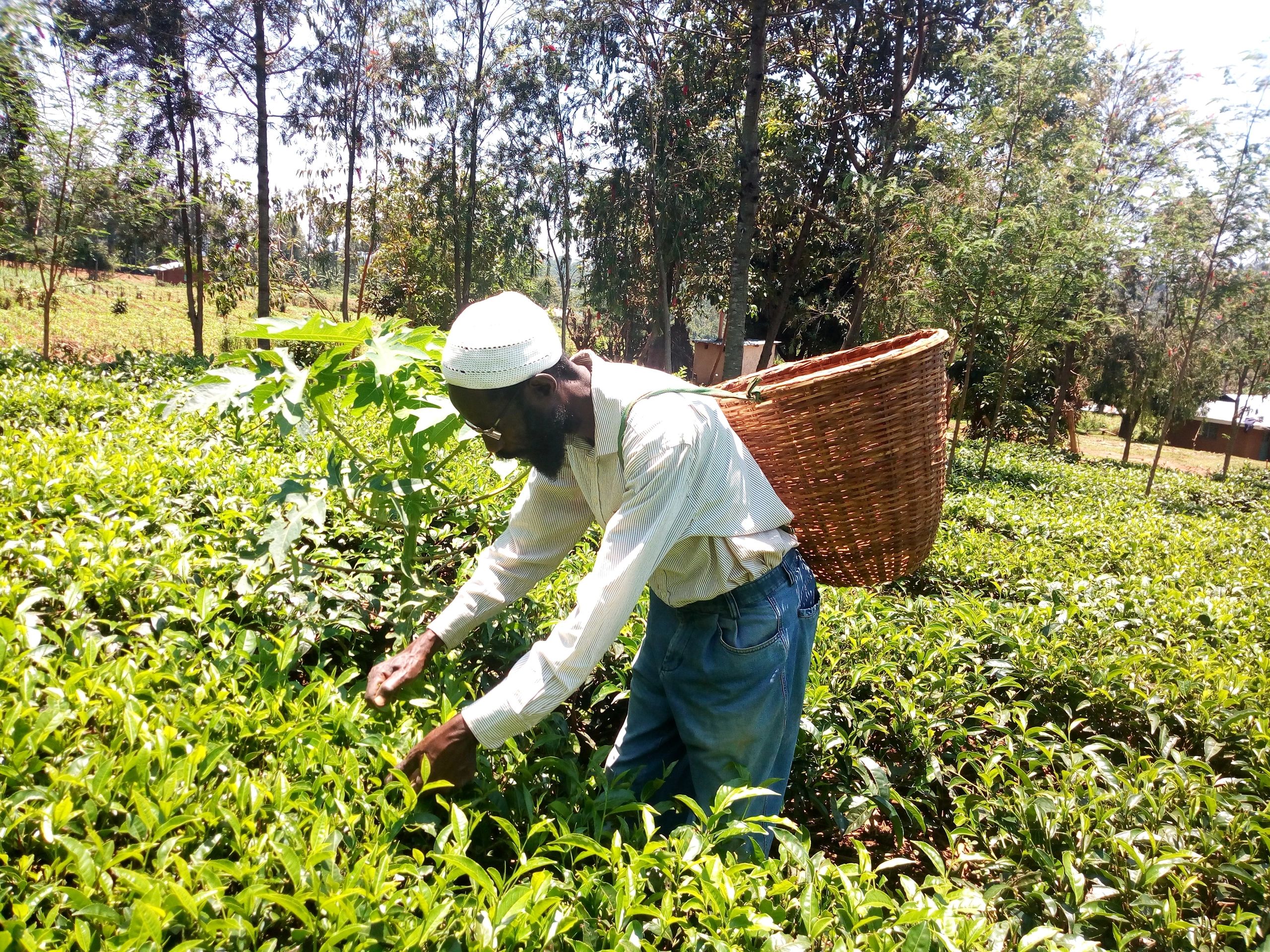 Home [mamaheritagefoundation.org]