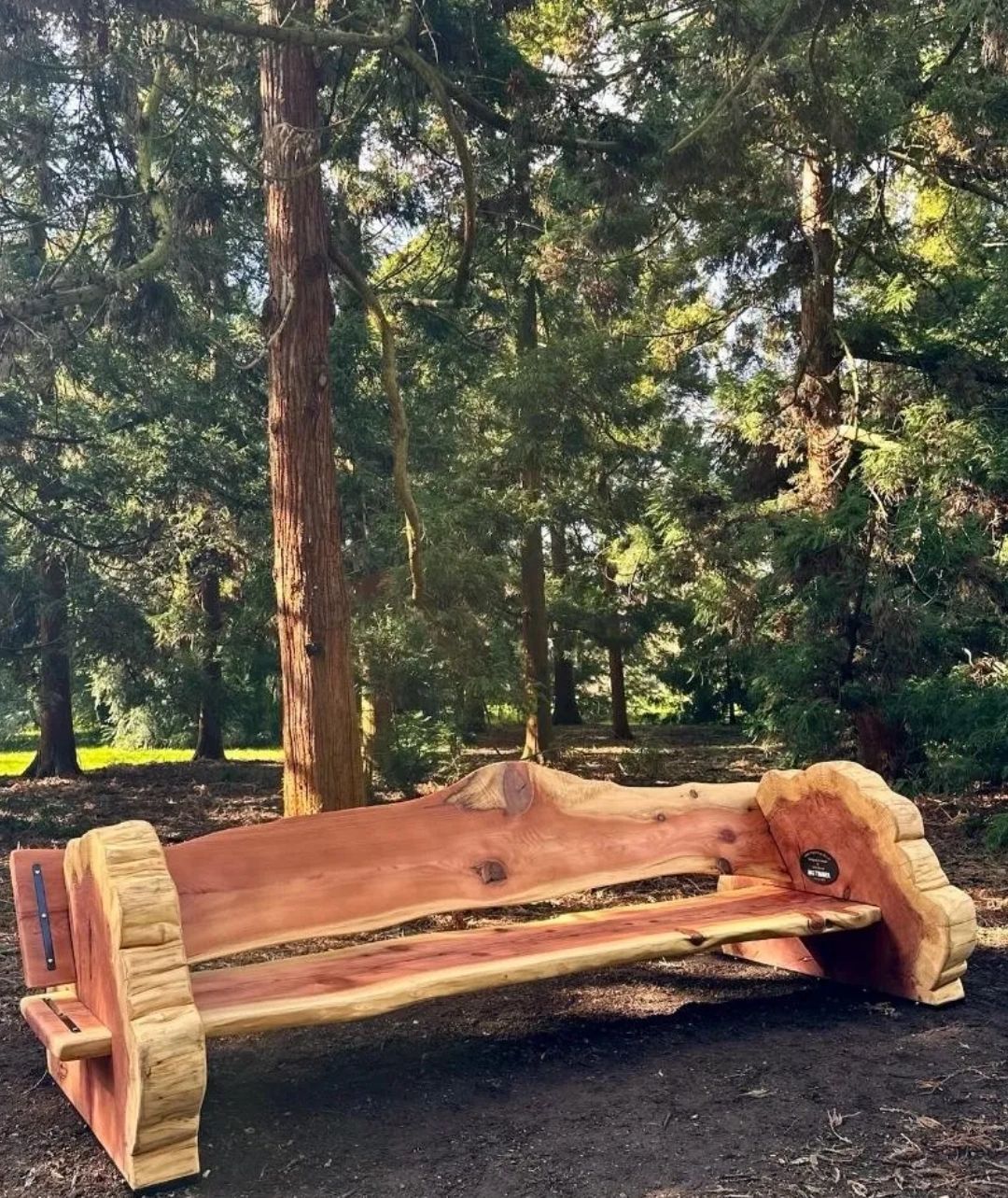 Big Timber