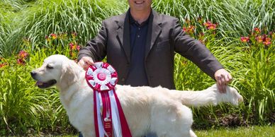 Our Goldens | Lake Country Goldens