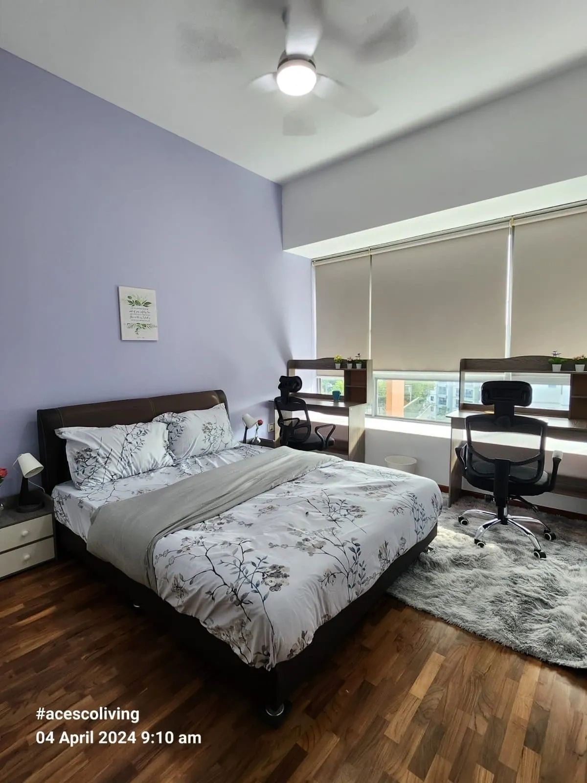 Aces Co-living & Property