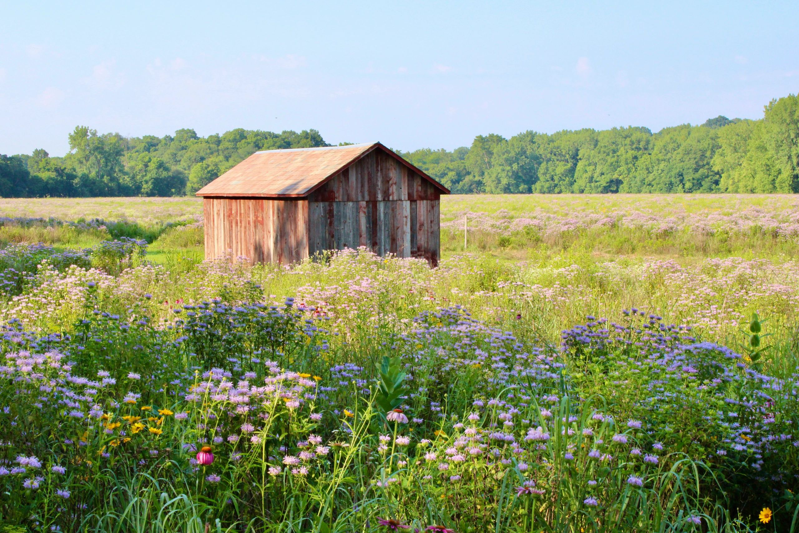ScenicRiverPrairie