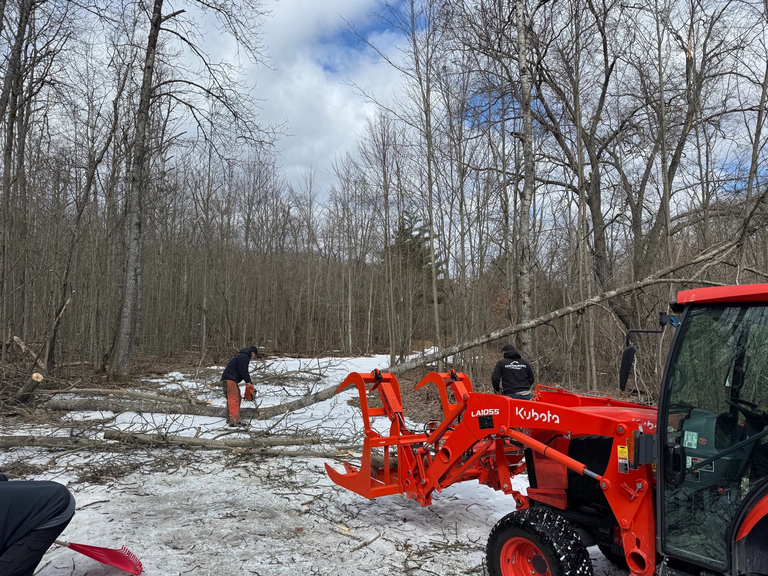 Post Storm Clean up in effect!