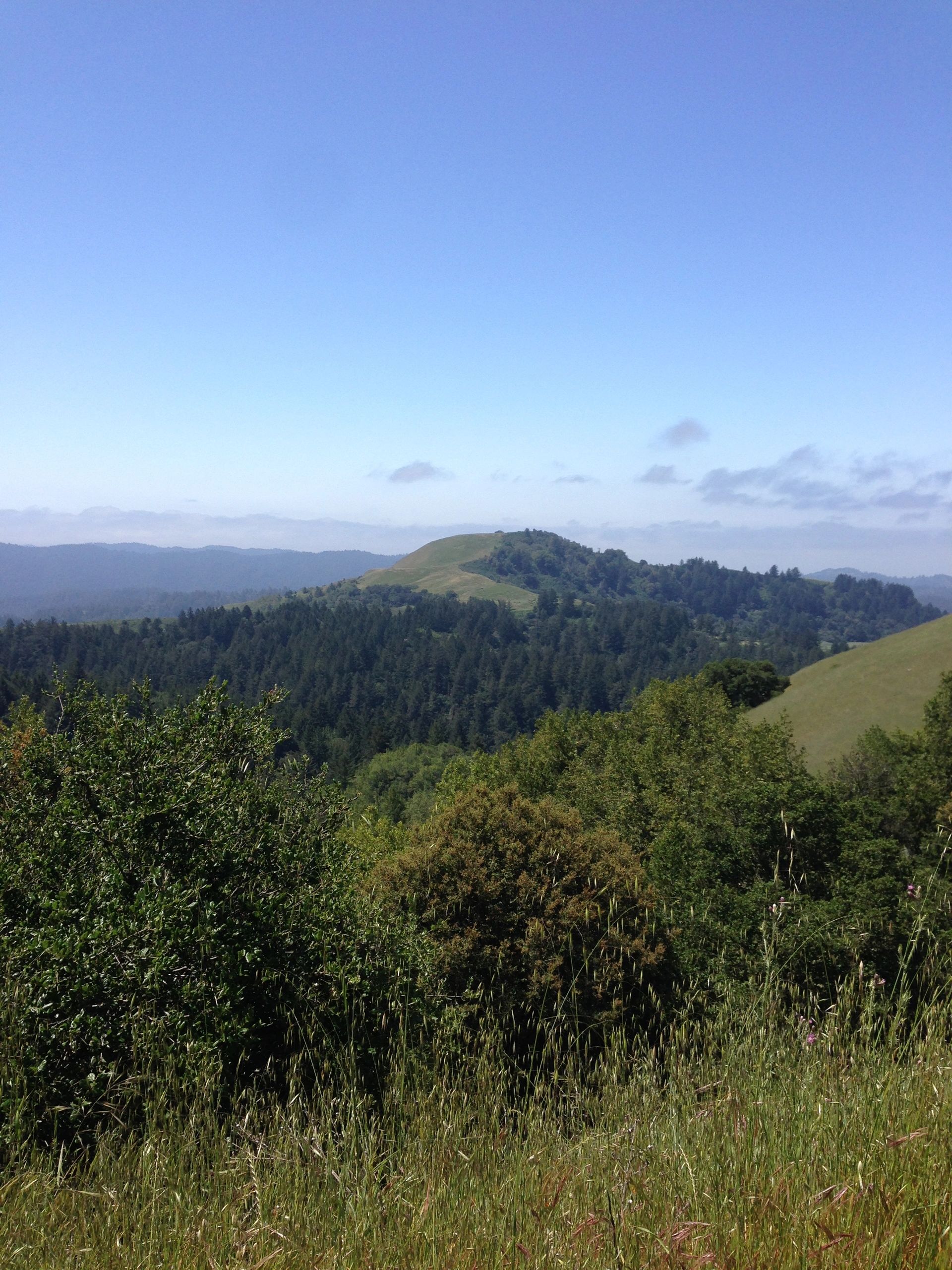 Mid-Peninsula Newcomers Club Inc. - Newcomers, Social Club, Bay Area