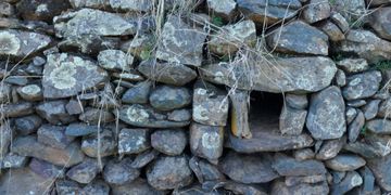 Ancient Amador - Home