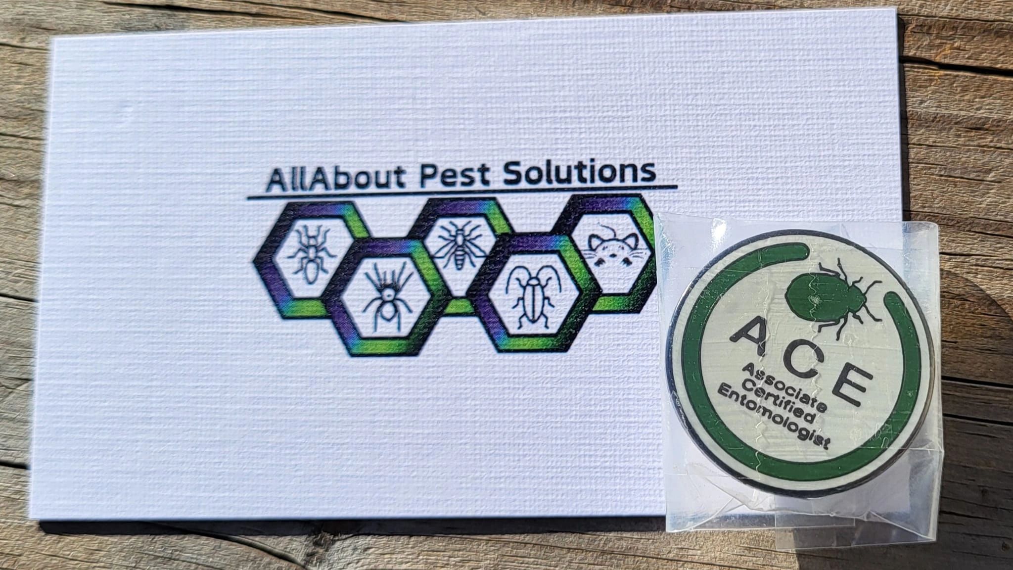 Expert Pest Exterminator Services | AllAbout Pest Solutions