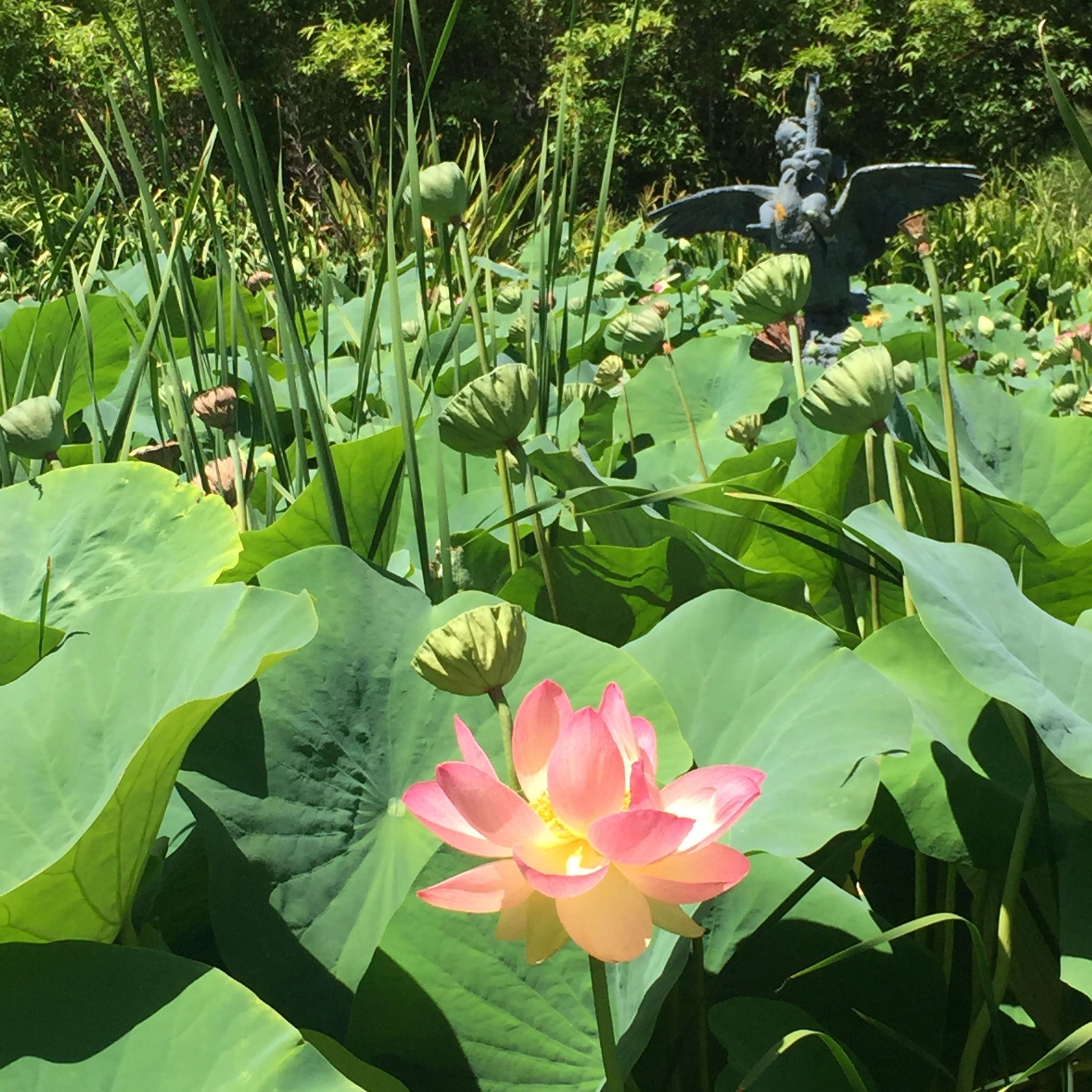 Recovery. Reclamation. Return.