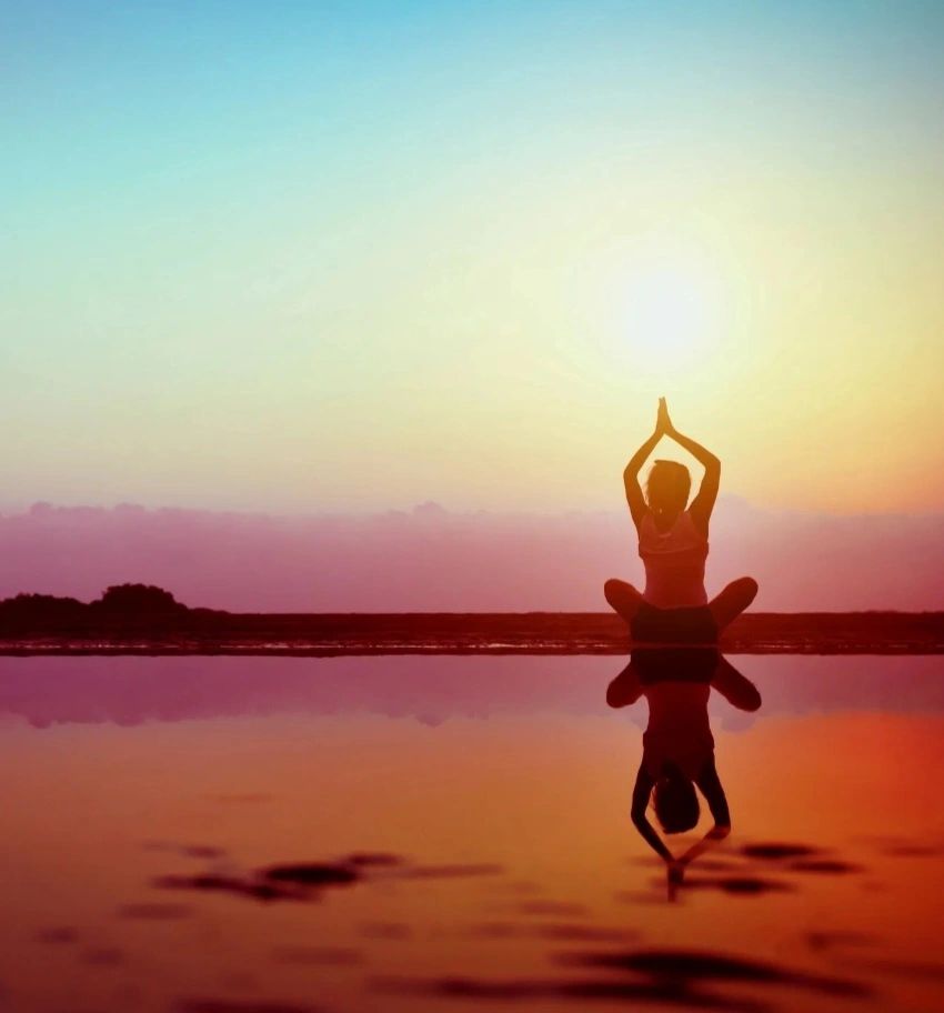 Lotus Flower Wellness Temple