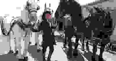 Home [vintagecarriage.net]