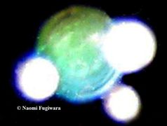 Orb Whisperer - Information, Photos, and Videos About Orbs