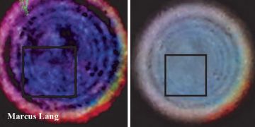 What Are Orbs? | Orb Whisperer