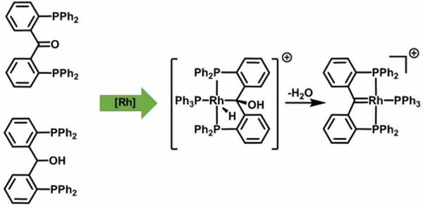 Research Interests | Rowan Young Group