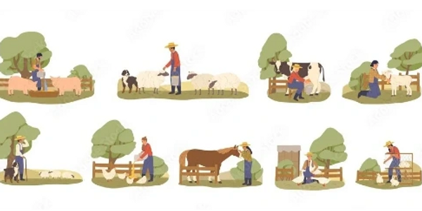 Livestock General Rules | Fulton County PA Fair