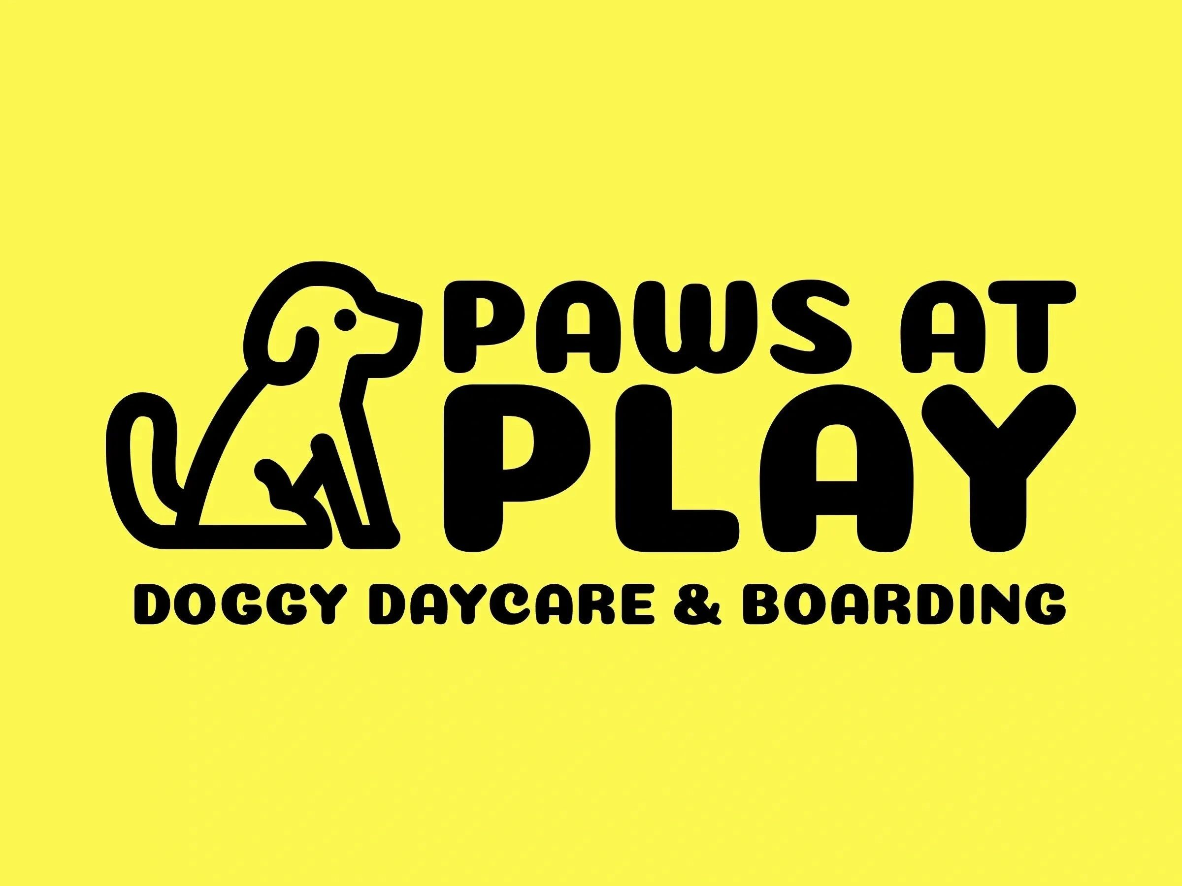 Paws at Play