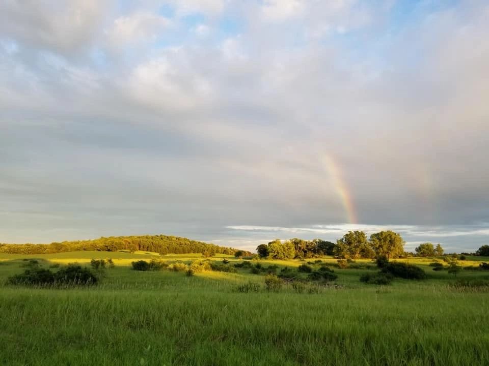 Prairie Hill Organics - Produce, Organic, Flowers