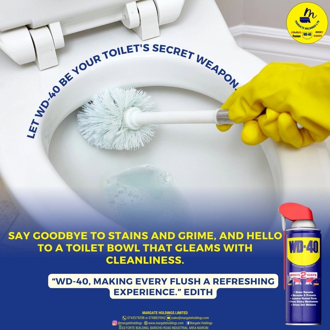 Wd40 to clean toilet store
