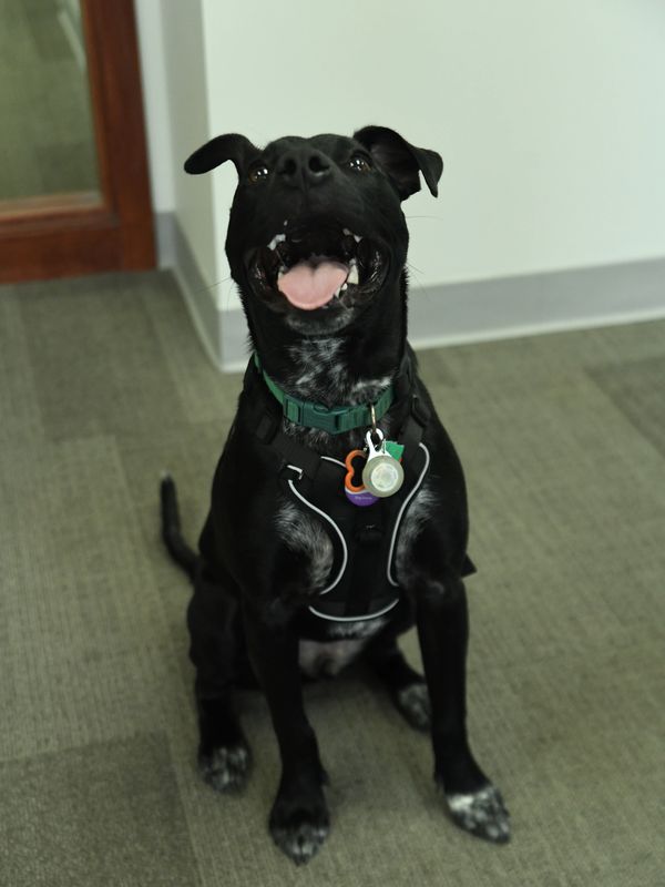 Team - Cascade Family & Implant Dentistry