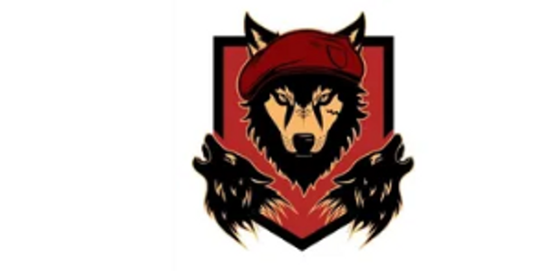 Wolf Pack Security LLC