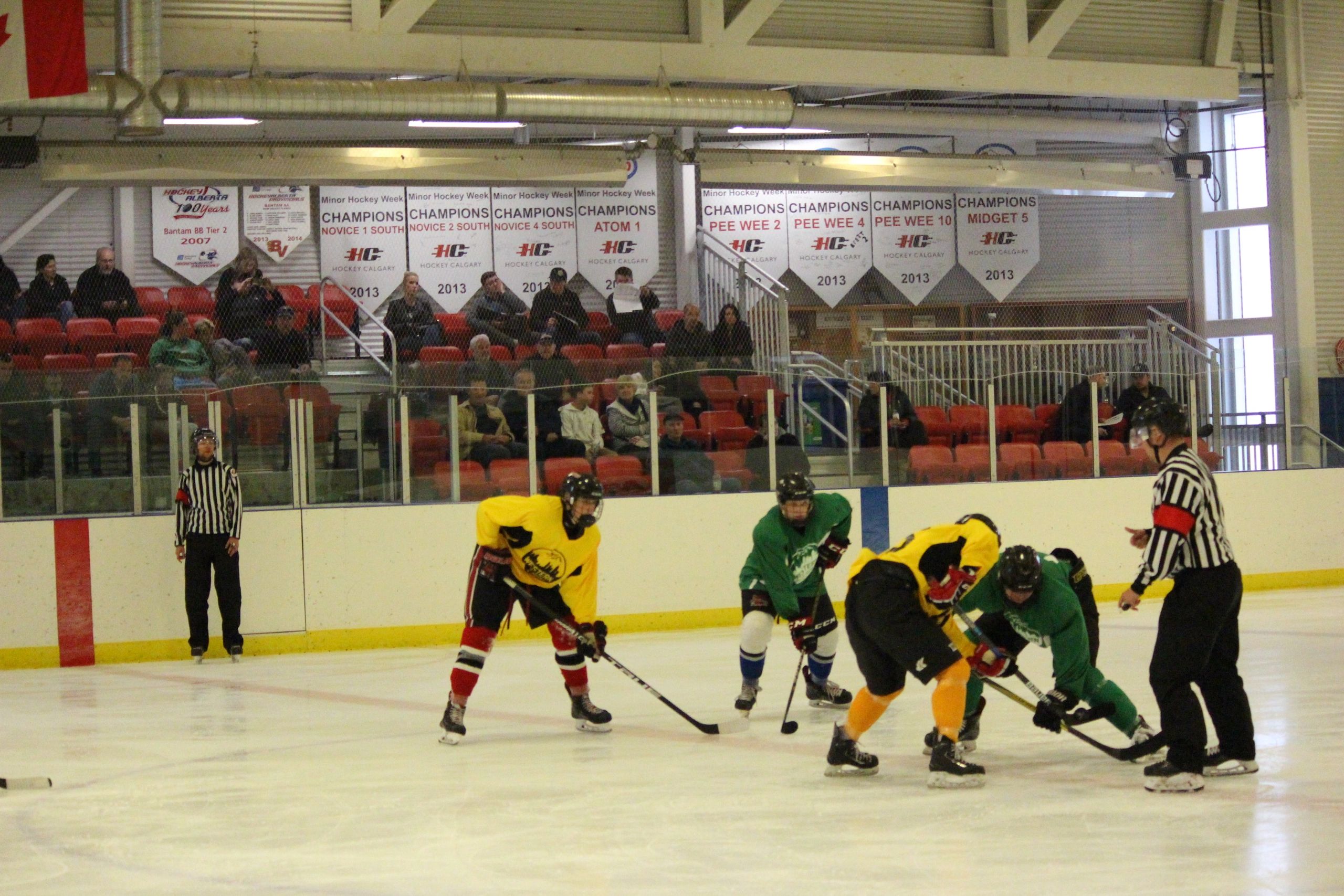 Western Elite Hockey Group