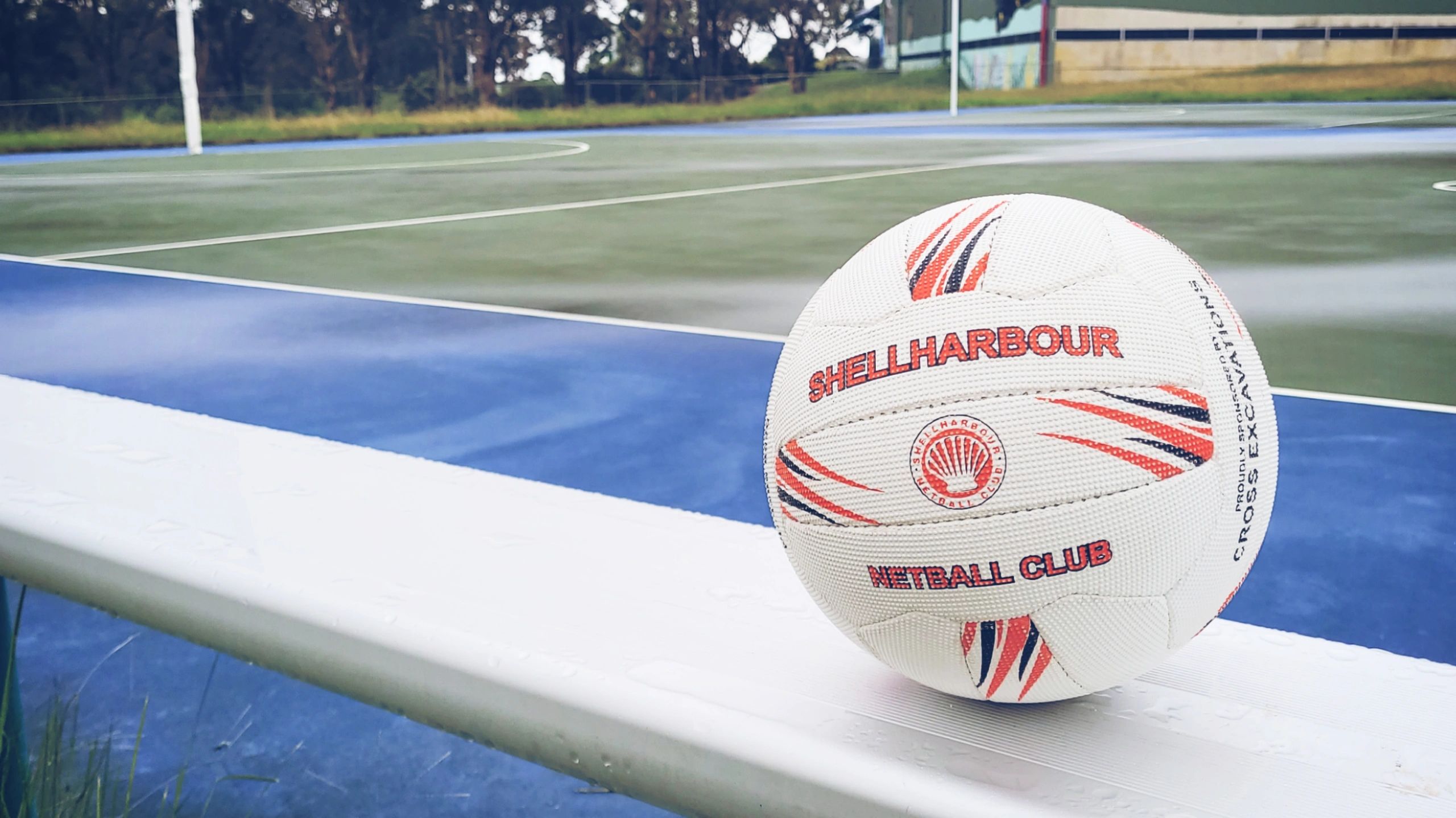 Registration and Teams | Shellharbour Netball Club