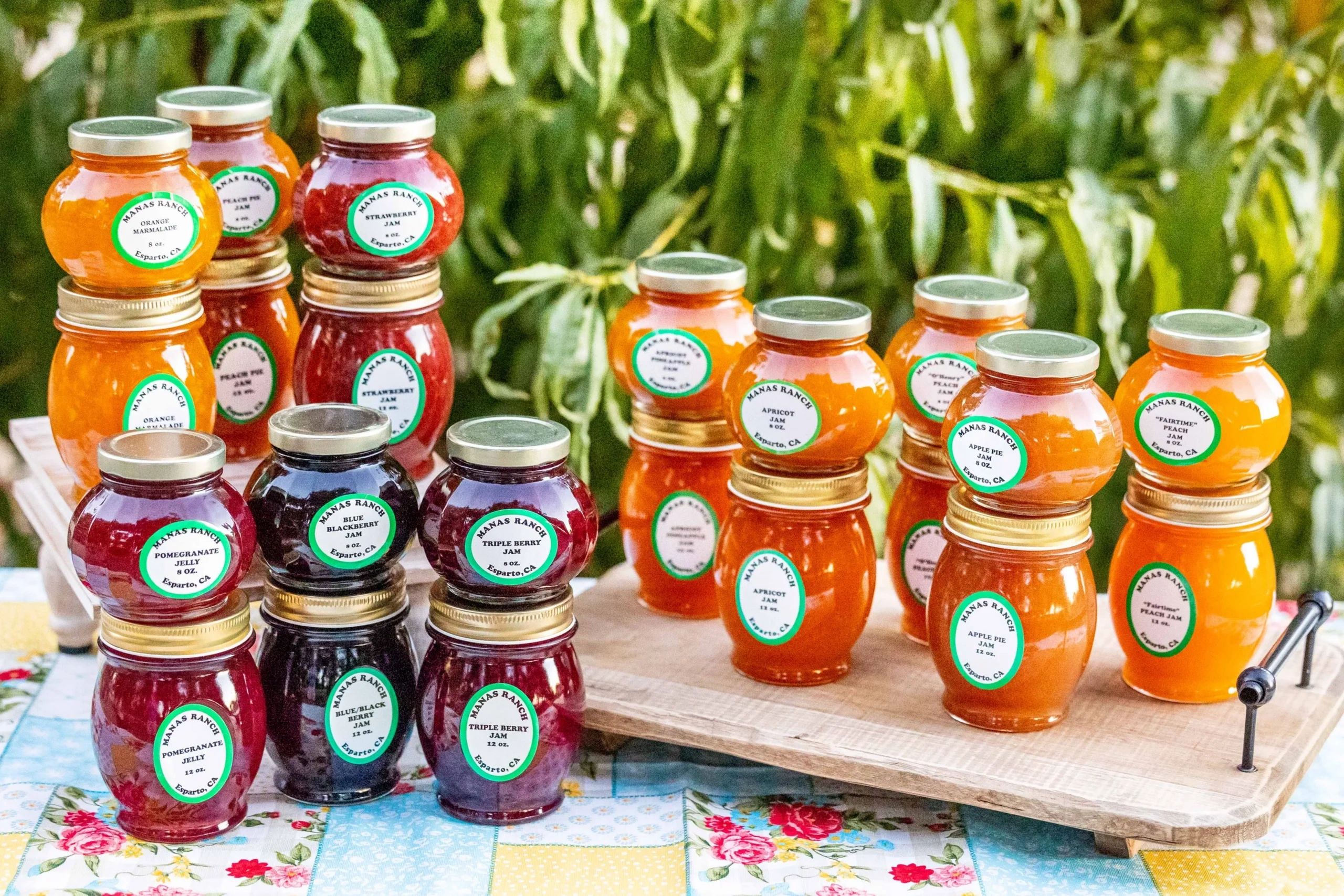 Manas Ranch Jam