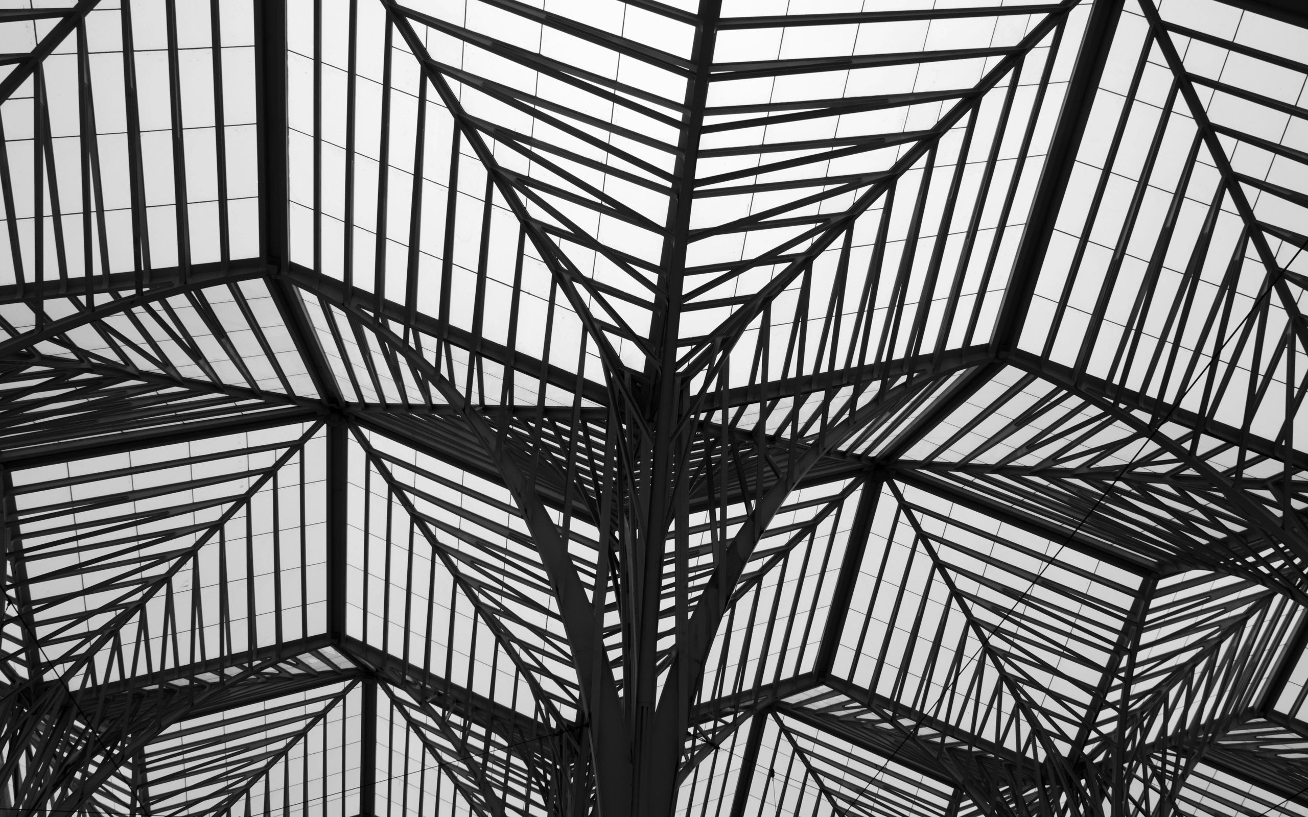 The Mindful City