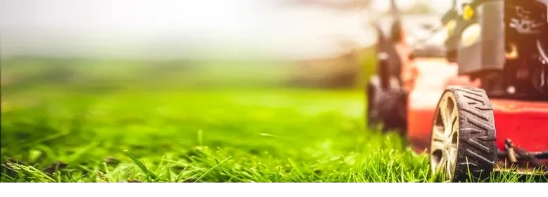 A1 Landscape Lakeland