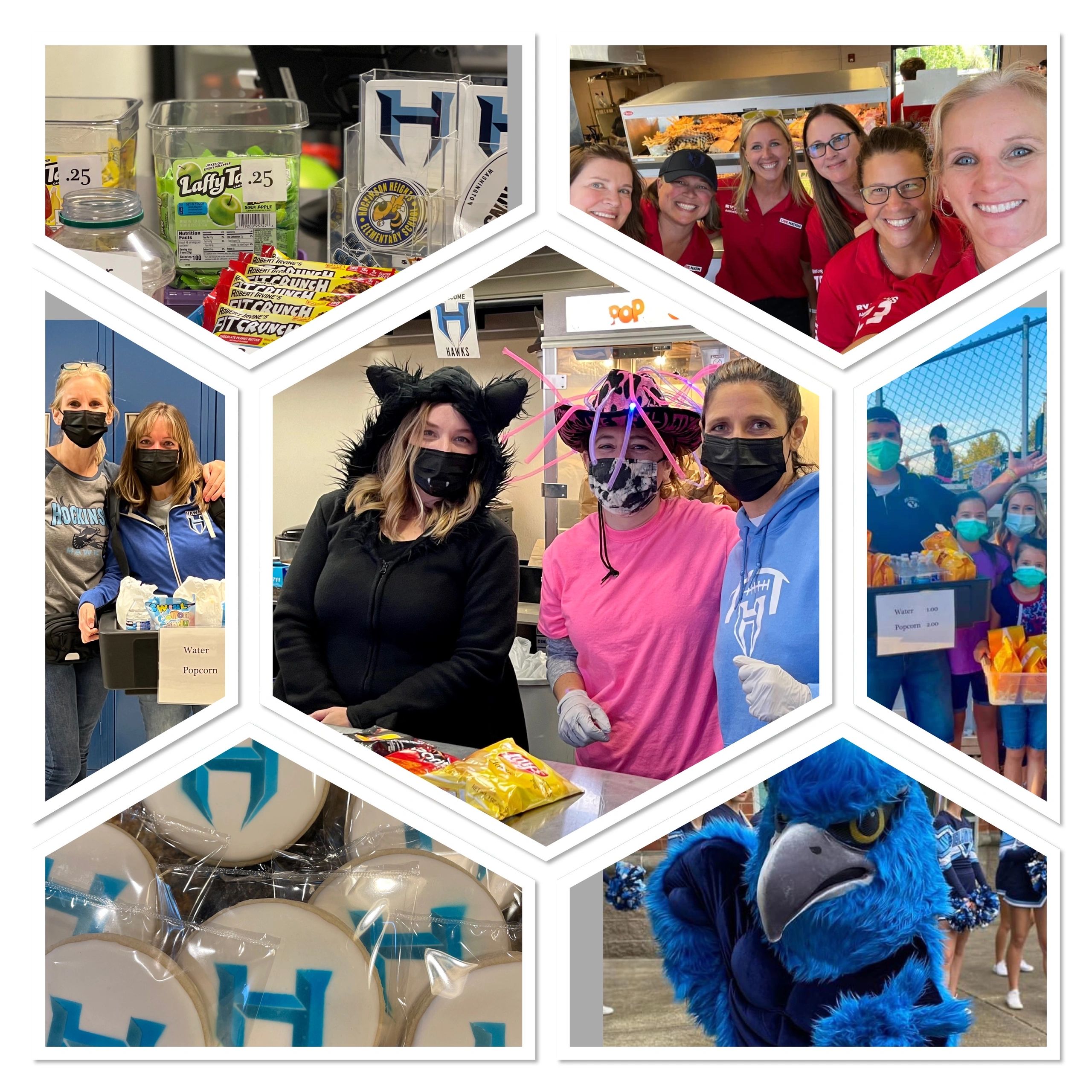 Home [hockinsonboosters.com]