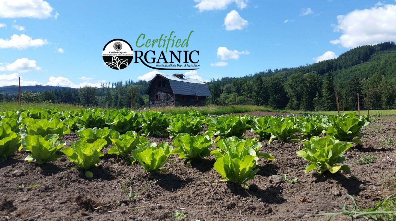 Frey Family Farm