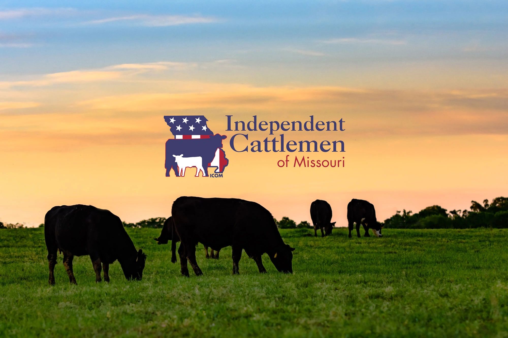 Independent Cattlemen of Missouri