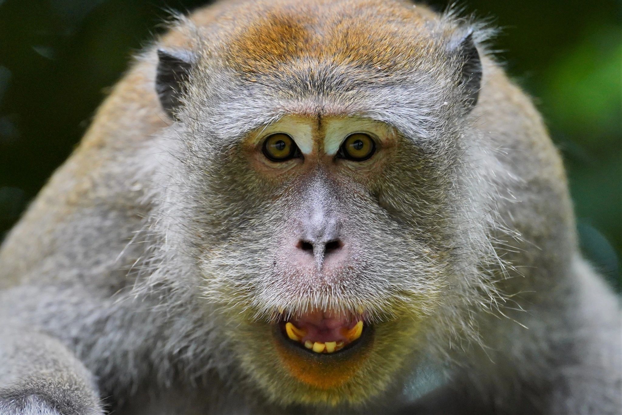 Pix.ALeeKy.com | aleeky.com