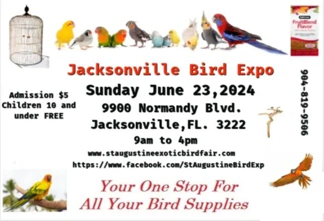 Saint Augustine Bird Expo