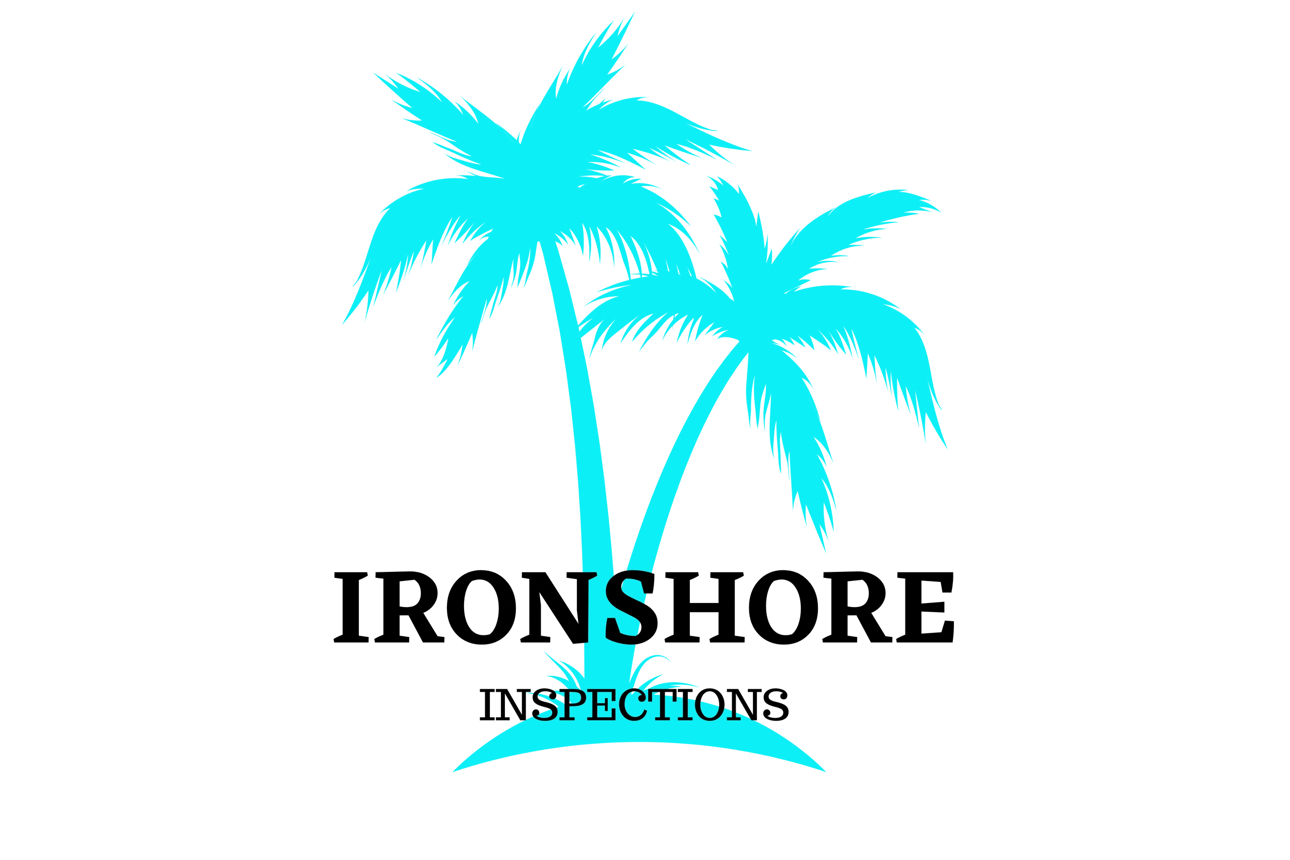 Ironshore Inspections