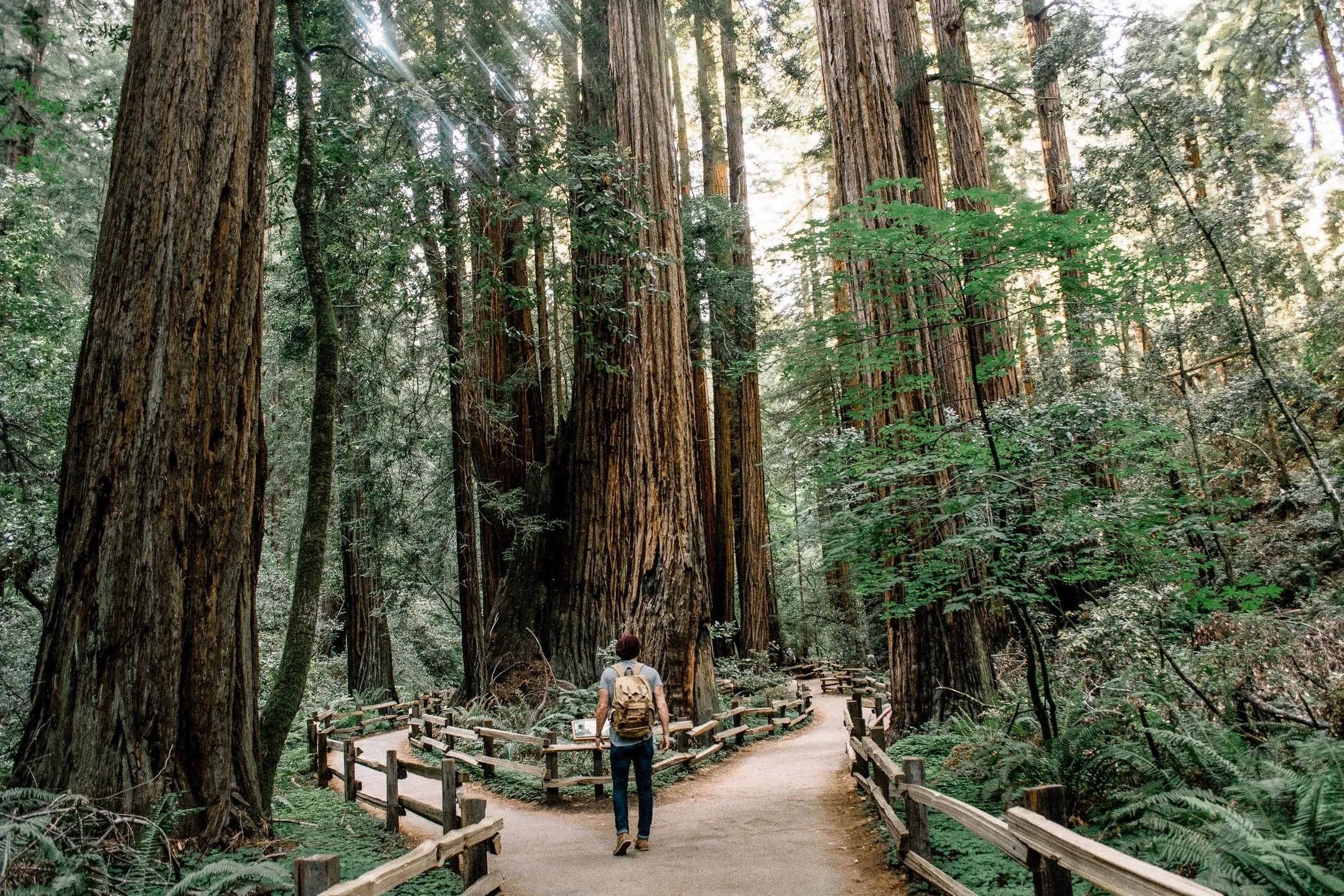 Sequoia Scientific