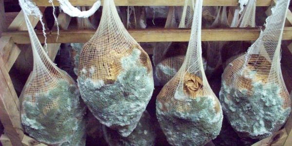 What Makes Us Special - A.B. Vannoy Hams