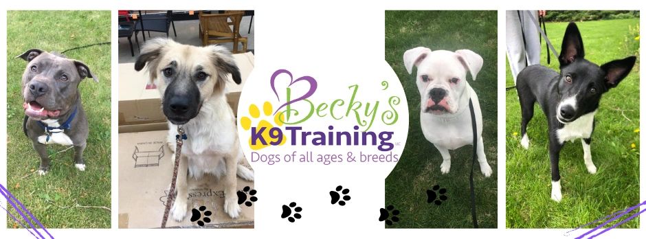About | Becky's K9 Training